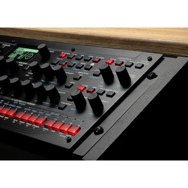 Korg MODWAVEM Modular Synthesizer – PlayMusic123.com