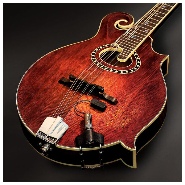 L.R. Baggs Radius Mandolin Pickup with External Jack – PlayMusic123.com